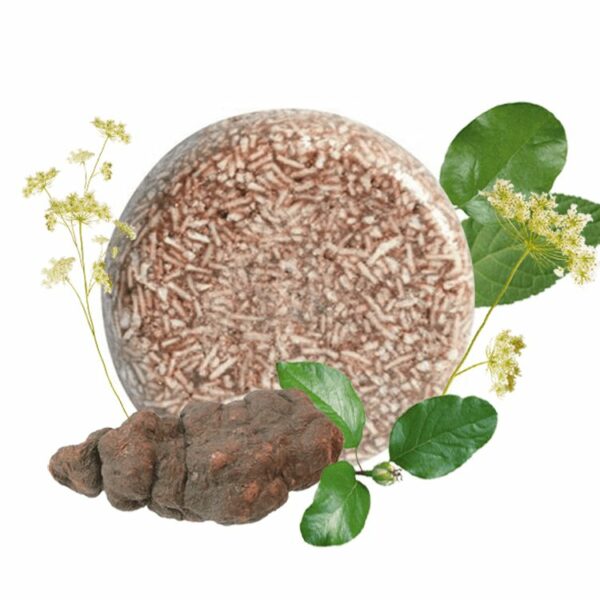 Polygonum Shampoo Bar - PURC Organics