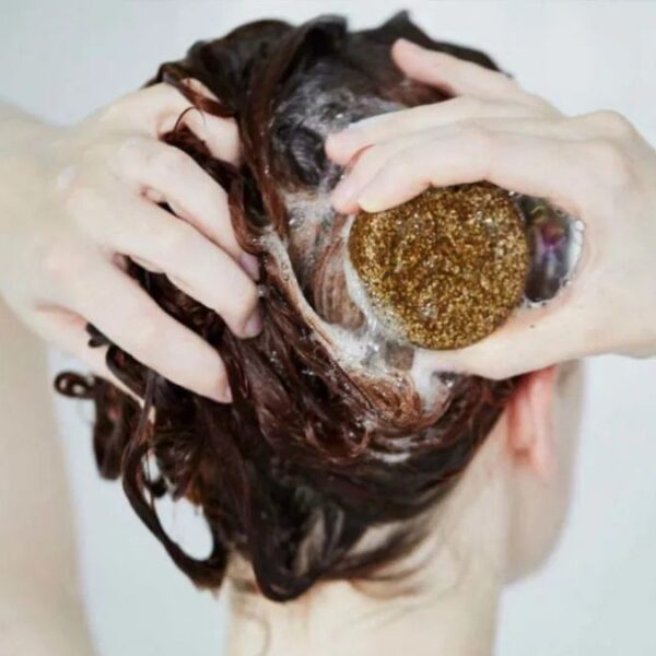 Polygonum Shampoo Bar - PURC Organics