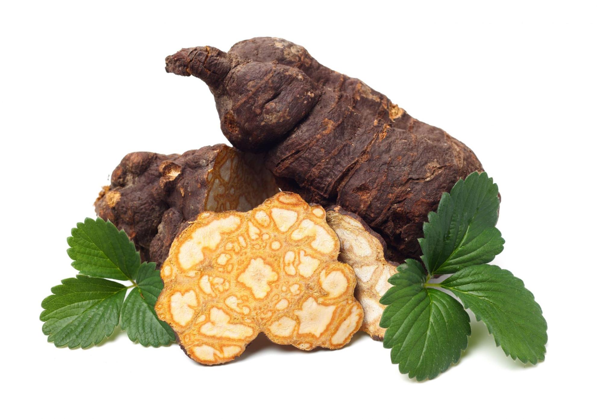 Will Polygonum Multiflorum Effectively Dye Your Hair Black?